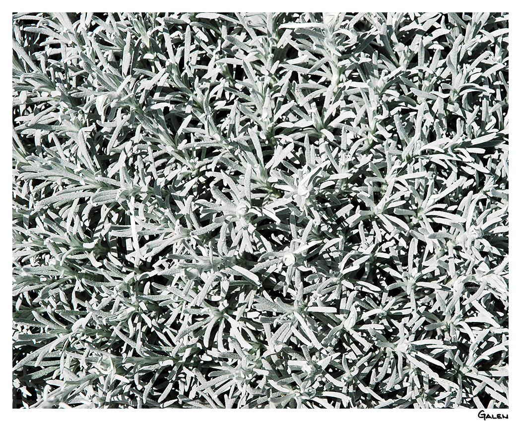 “Sojourn Of The Silver Spikes” – Galen911